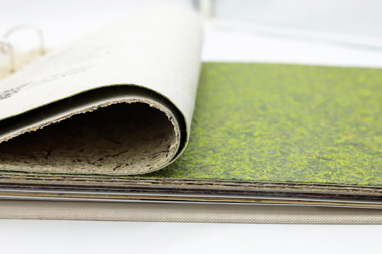 ORGANOID COLLECTION BOOK 24 – цена, купить каталоги в магазине Вудсток ...