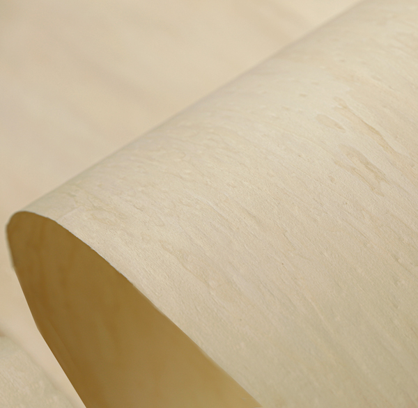 Duna WEB V – цена, купить товары по спецпредложению в магазине Вудсток в Москве